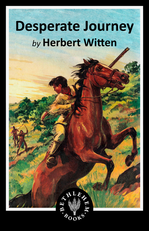 Desperate Journey (e-Book only) – Bethlehem Books
